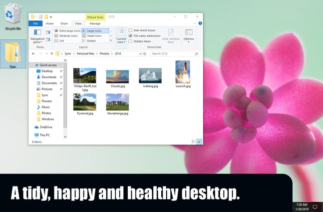 The Joy of Tidying Up your Files